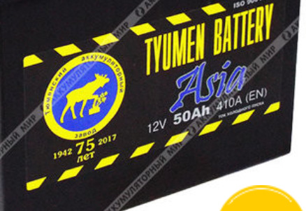 Tyumen Battery — Toyota Vitz (10), 1 л, 2000 года | электроника | DRIVE2