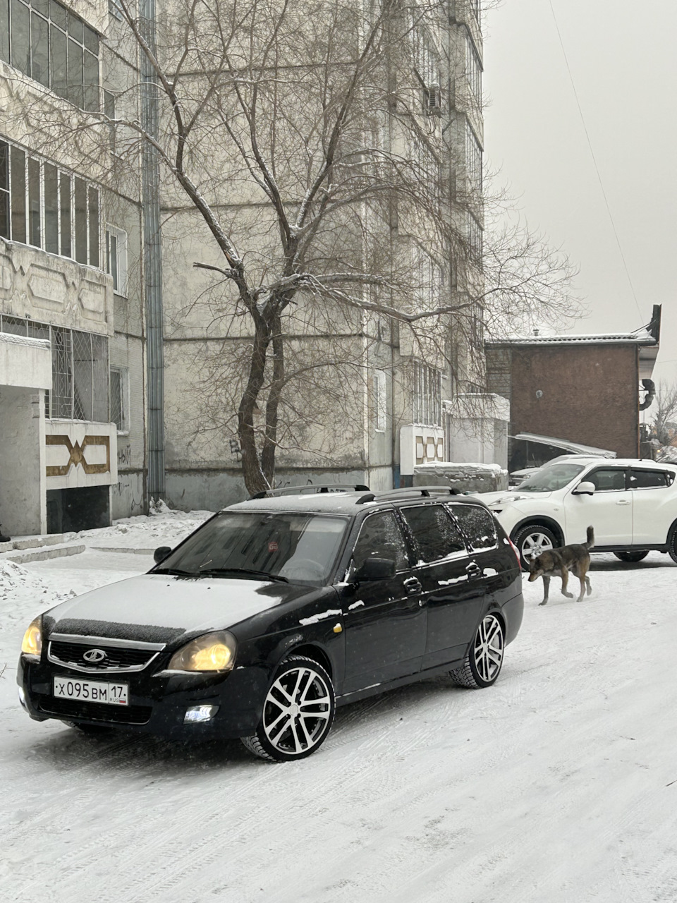Рельсы 205/40/17 — Lada Приора универсал, 1,6 л, 2010 года | шины | DRIVE2