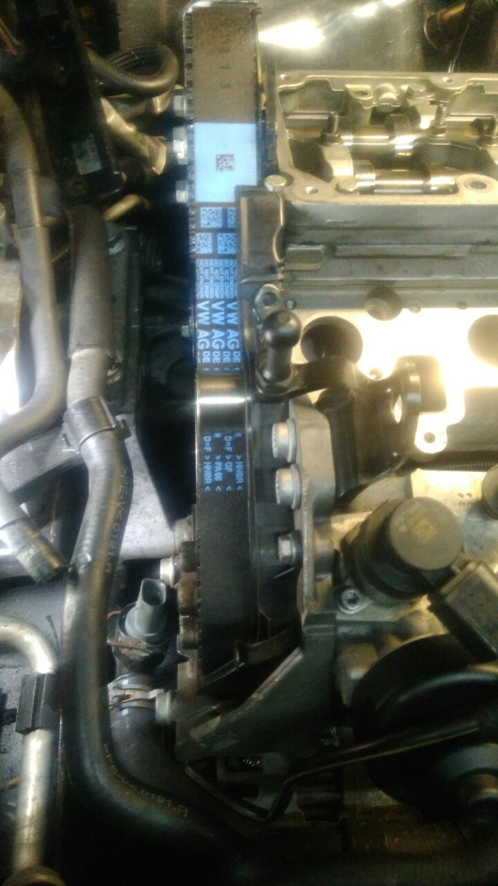 03L109119F Ремень зубчатый VAG | Запчасти на DRIVE2