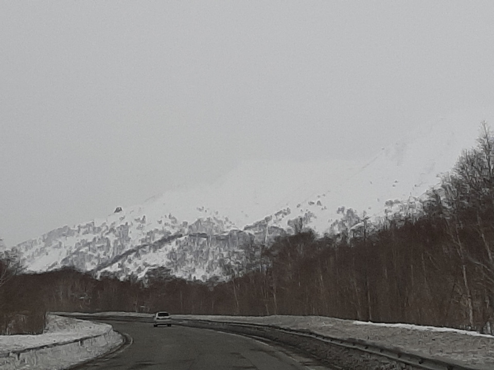 0888581081 Трансмиссионное масло, 1 литр TOYOTA LEXUS | Запчасти на DRIVE2