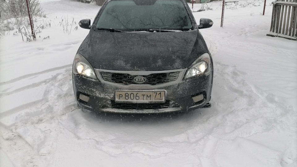 Антифриз. — KIA Ceed (1G), 2 л, 2011 года | плановое ТО | DRIVE2