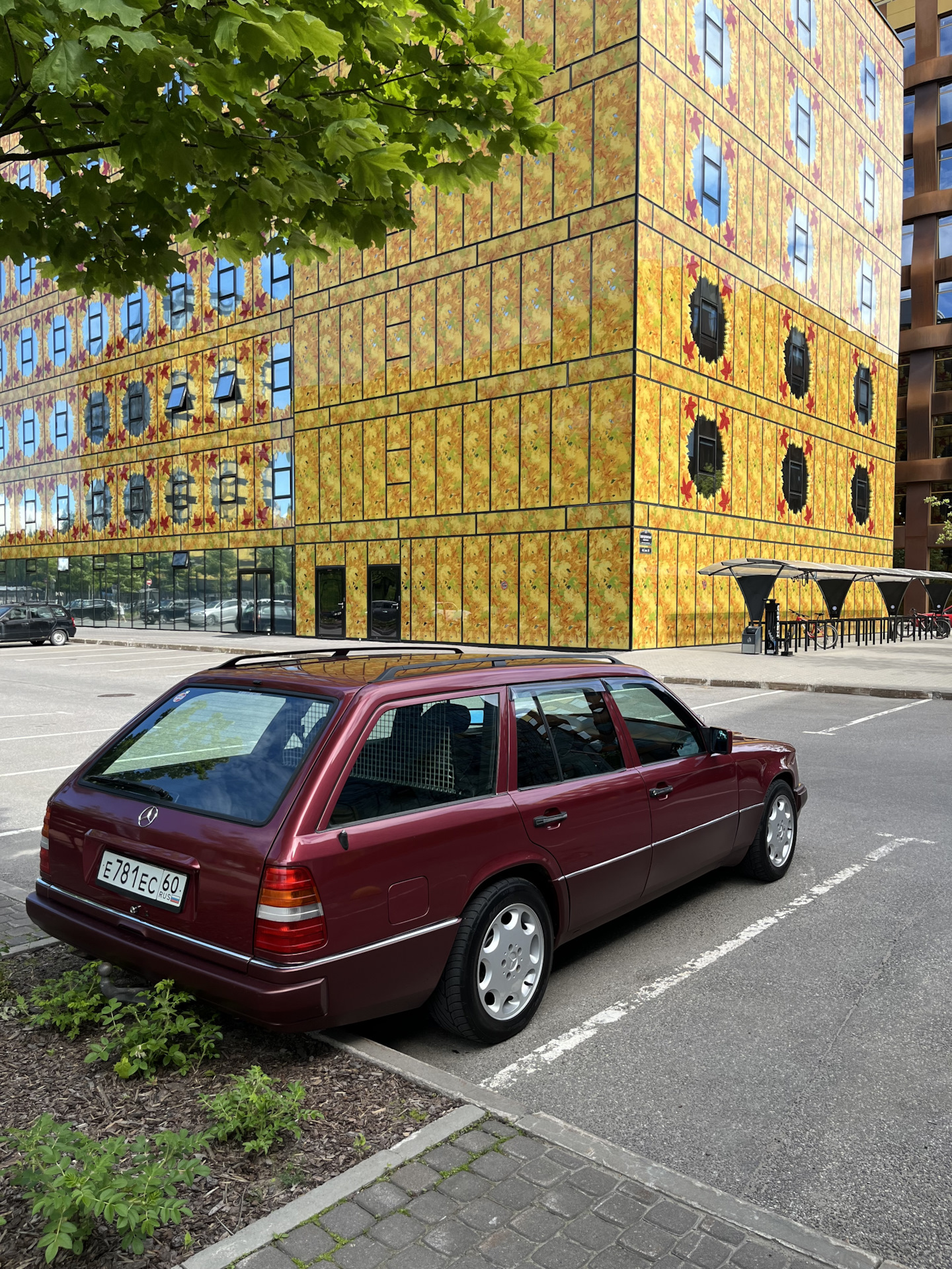 Конец сезона 2024 — Mercedes-Benz E-Class Estate (S124), 2,2 л, 1993 ...