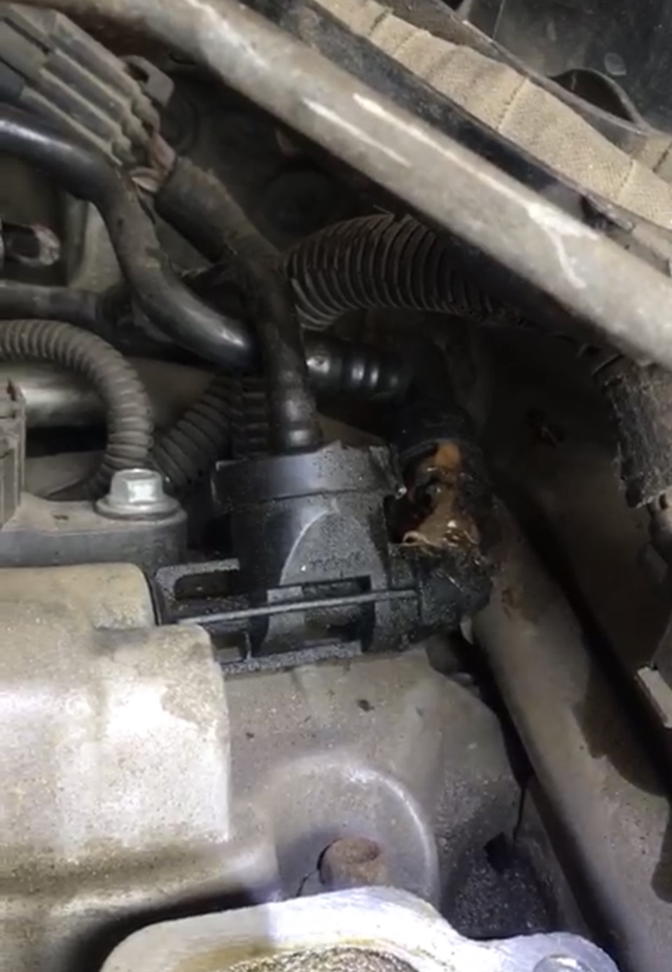 Что за клапан? — Сообщество «DRIVE2 Opel Club» на DRIVE2