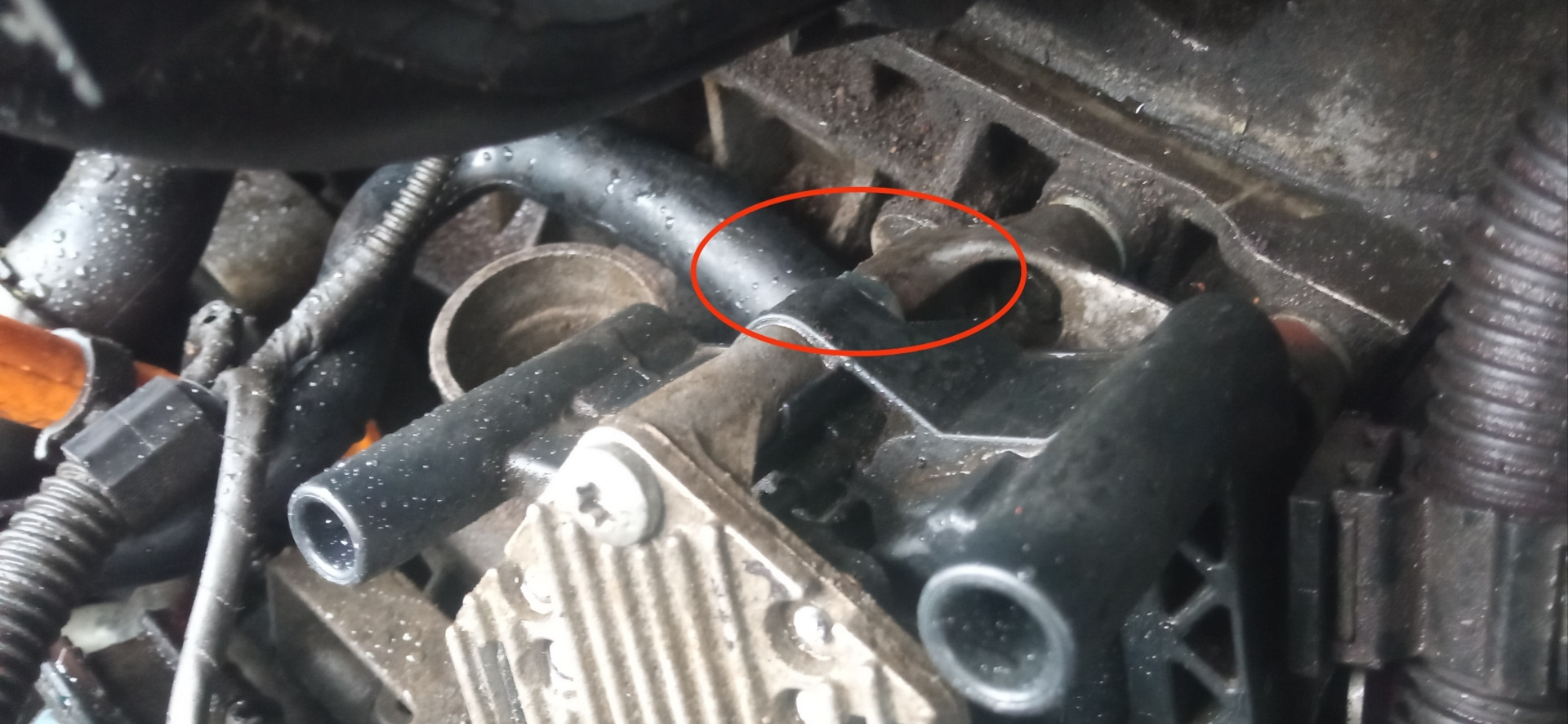 Замена патрубка системы охлаждения — Skoda Octavia A5 Mk2, 1,6 л, 2008 ...