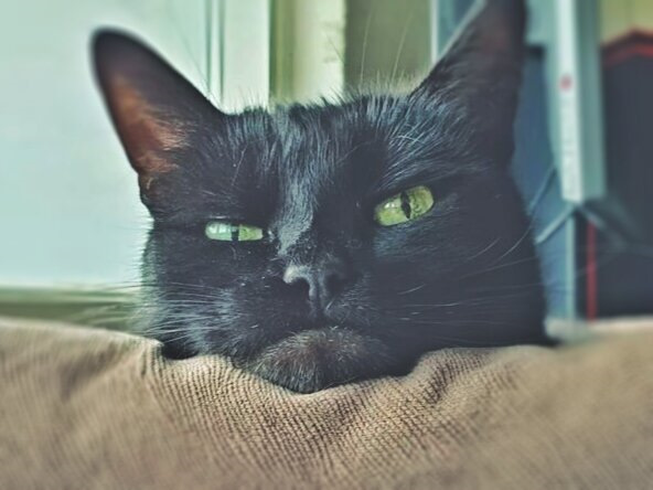 VAG Powerclass Table — DRIVE2