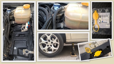 13118170 Крышка бачка стеклоомывателя GM | Запчасти на DRIVE2