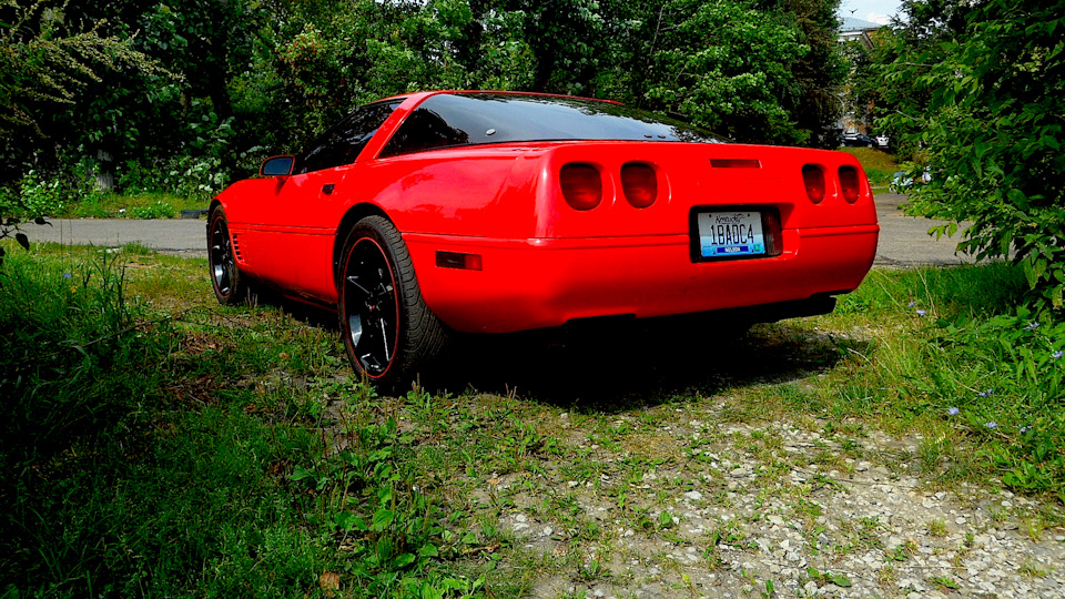 Первые фото — Chevrolet Corvette C4, 5,7 л, 1995 года | фотография | DRIVE2