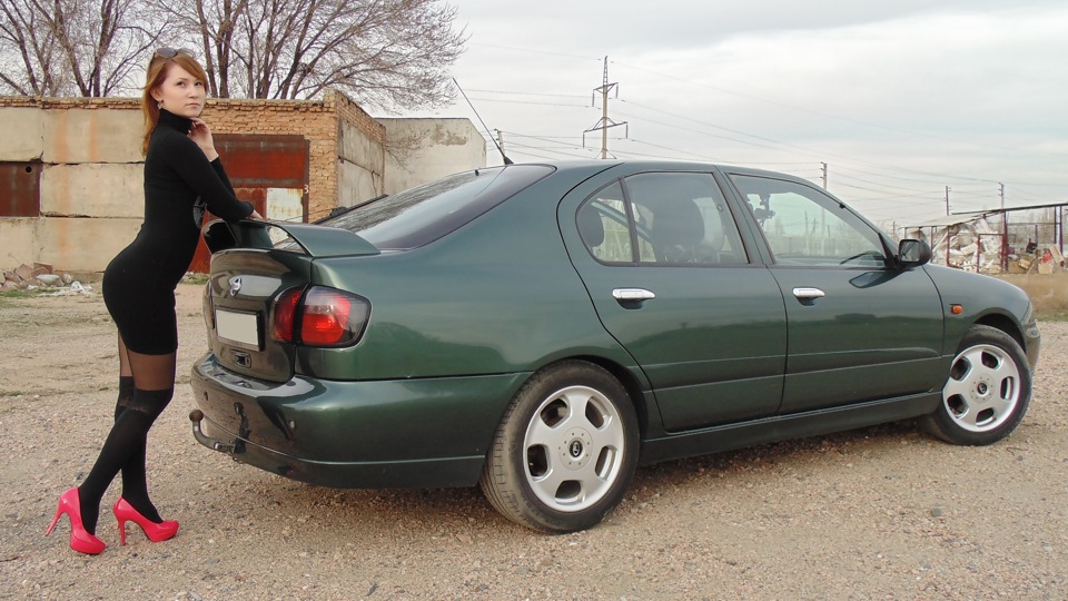 Заменил "резинки" на штоке передних амортизаторов — Nissan Primera (P11 ...