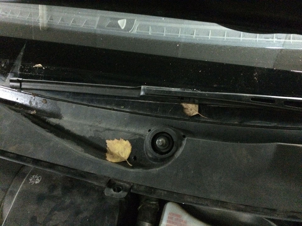 №207 Защита трапеции(дворников) по заводу 8P4 955 758 A))). — Audi A6 ...