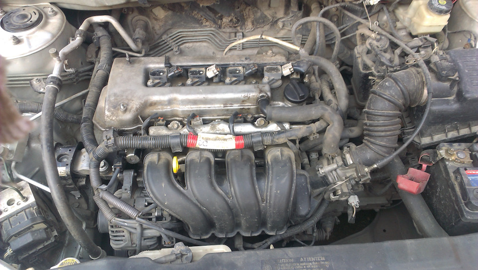 Заменил прокладку крышки маслозаливной горловины — Toyota Corolla (120 ...