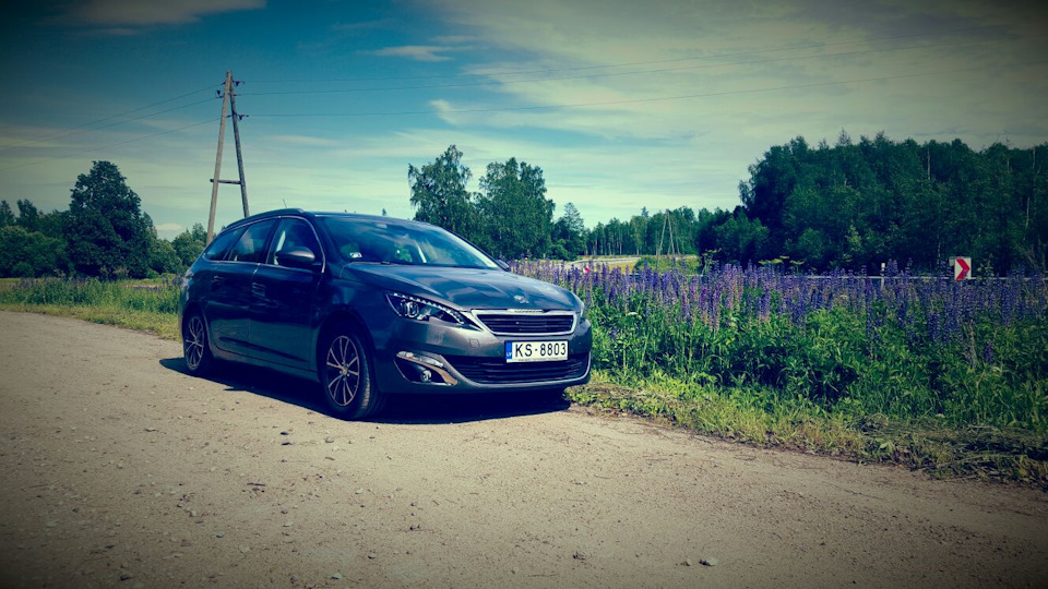 Лиго в Латвии — Peugeot 308 SW (2G), 1,2 л, 2017 года | фотография | DRIVE2
