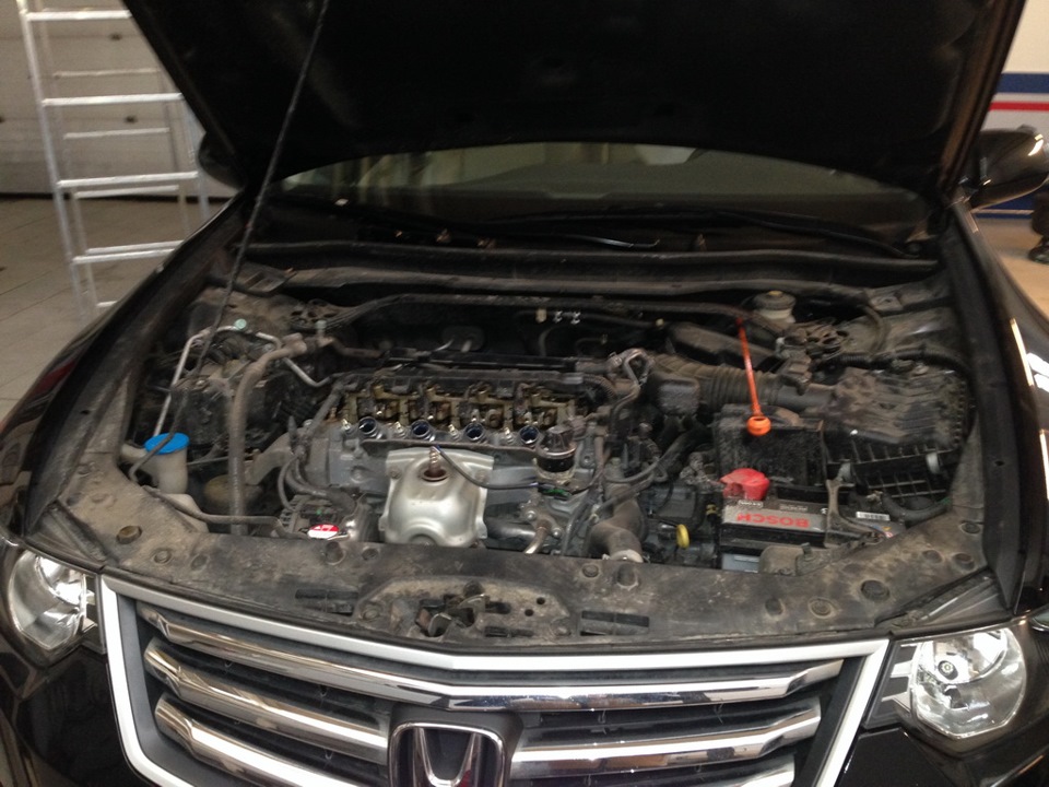 Масло, фильтры, клапана. — Honda Accord (8G), 2 л, 2009 года | плановое ...