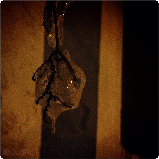 -2C & Rain — DRIVE2