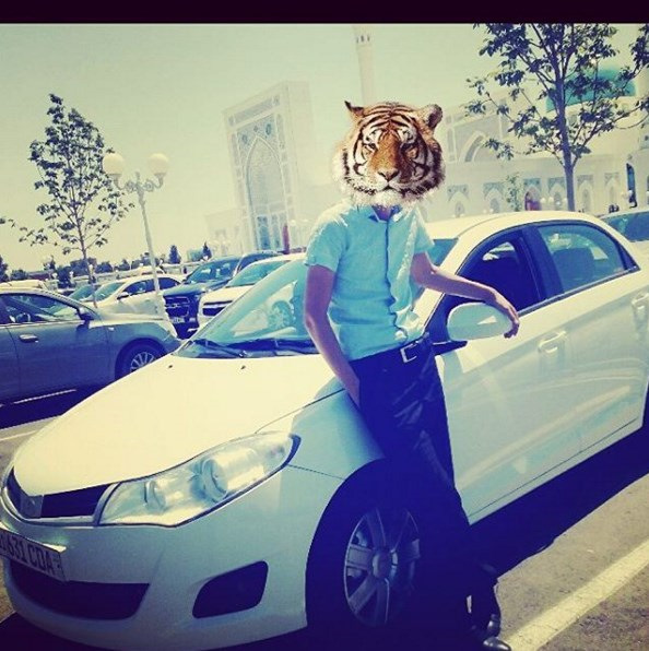 вид шикарен — ЗАЗ Forza, 1,5 л, 2014 года | фотография | DRIVE2