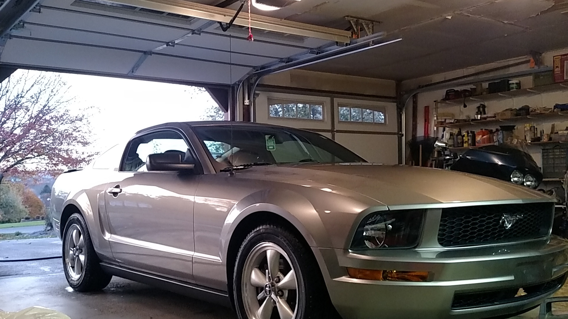 Ford Mustang (5G) бензиновый 2008 | на DRIVE2