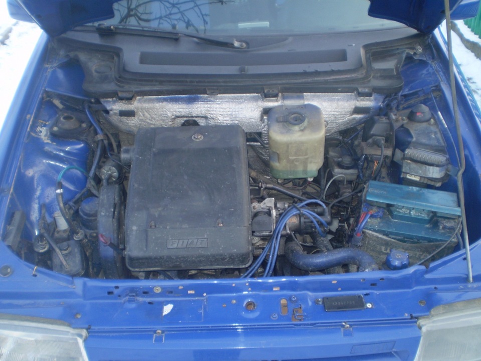 первые фото — FIAT Uno, 1,4 л, 1992 года | покупка машины | DRIVE2