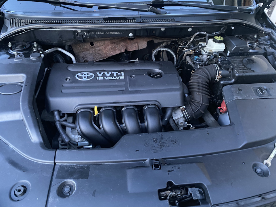 Установка сетки в решетку радиатора — Toyota Avensis II, 1,8 л, 2007 ...