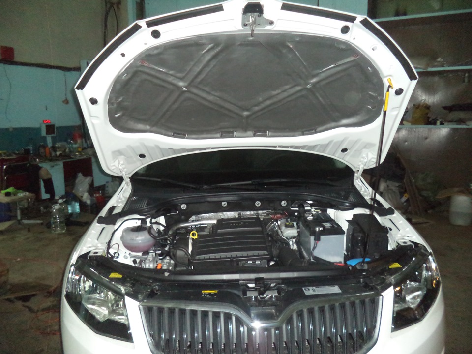 Шумка капота — Skoda Octavia A7 Mk3, 1,6 л, 2014 года | просто так | DRIVE2