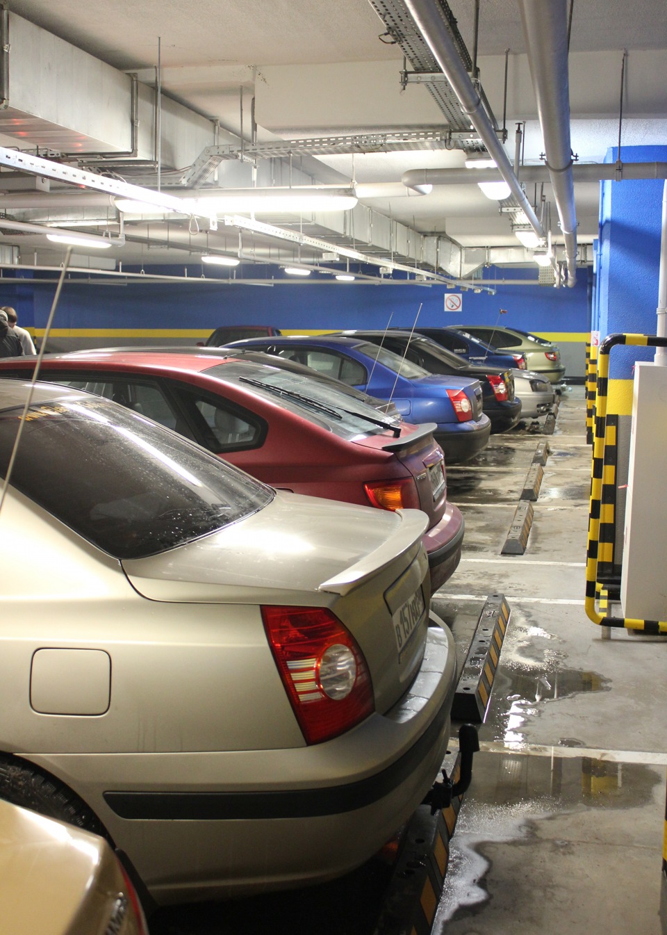 Встреча elantra-club 25 января 2013. — Hyundai Elantra (3G), 1,6 л ...