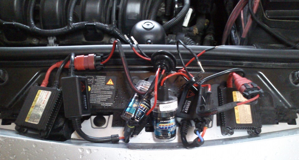 Ксенон 3000К в противотуманки — Renault Megane II, 1,6 л, 2008 года ...