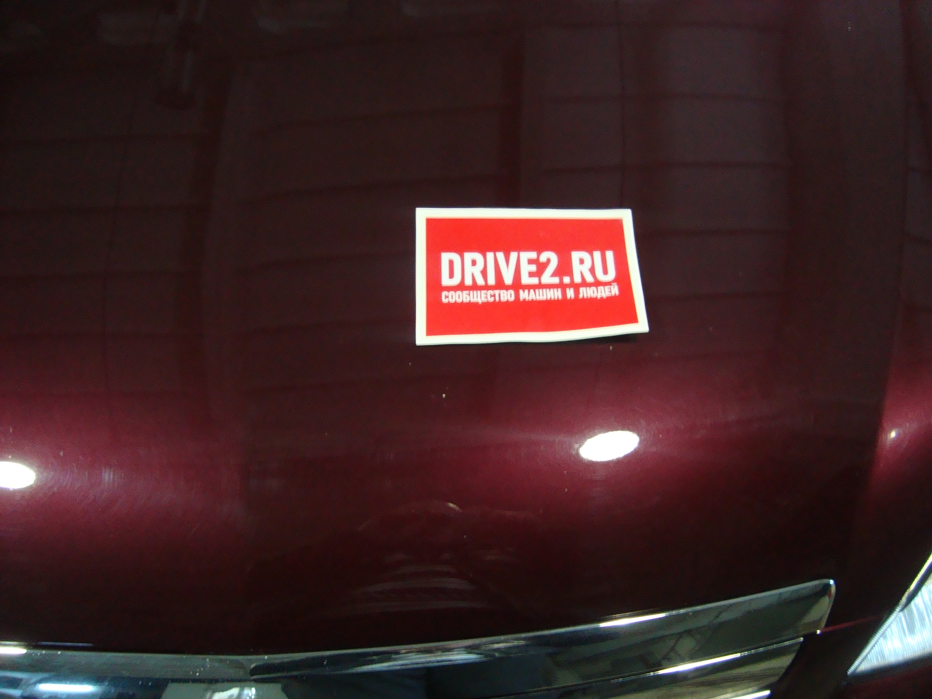 DRIVE2.RU (наклейка) — DRIVE2
