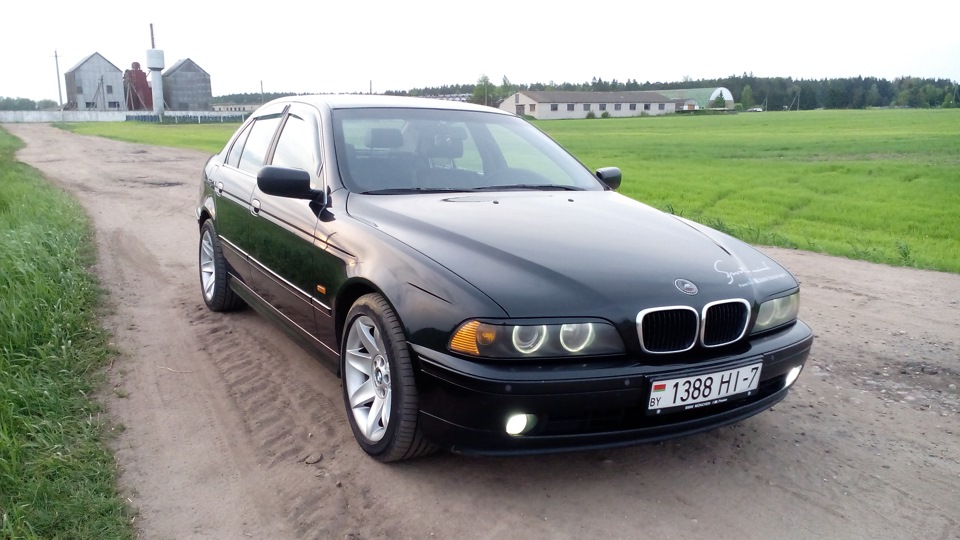 BMW 5 series (E39) 2.5 дизельный 2002 | 525d на DRIVE2