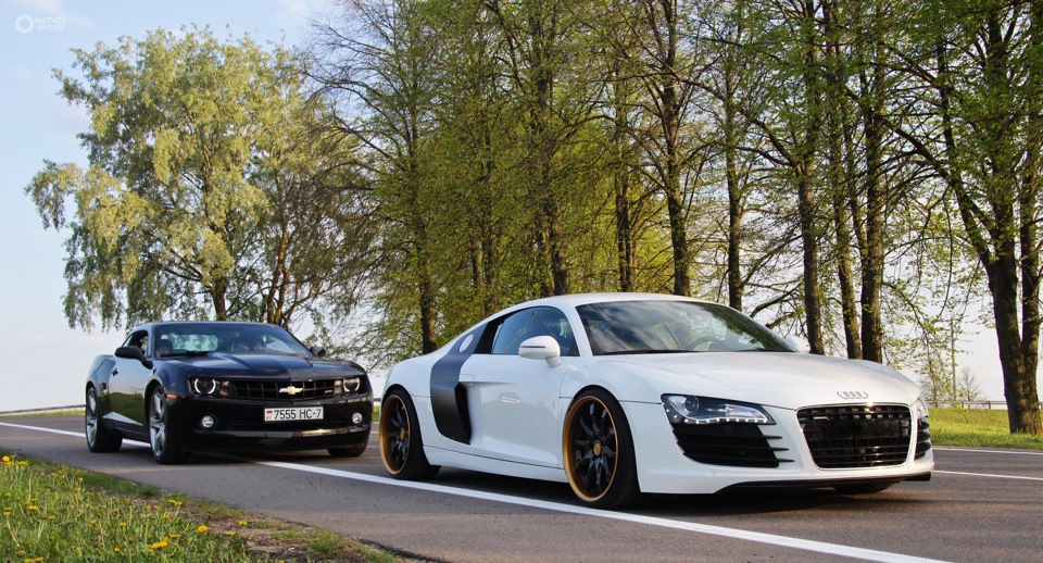 Новый сет Camaro Vs R8 + Work Varianza Schwert — Audi R8 (1G), 5,2 л ...