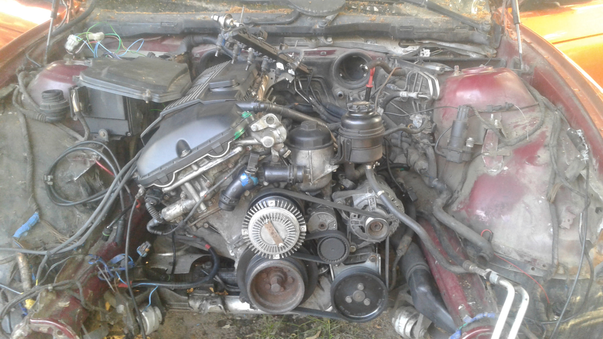 M52B25 НА М52TUB25 — BMW 5 series (E39), 2,5 л, 1996 года | своими ...