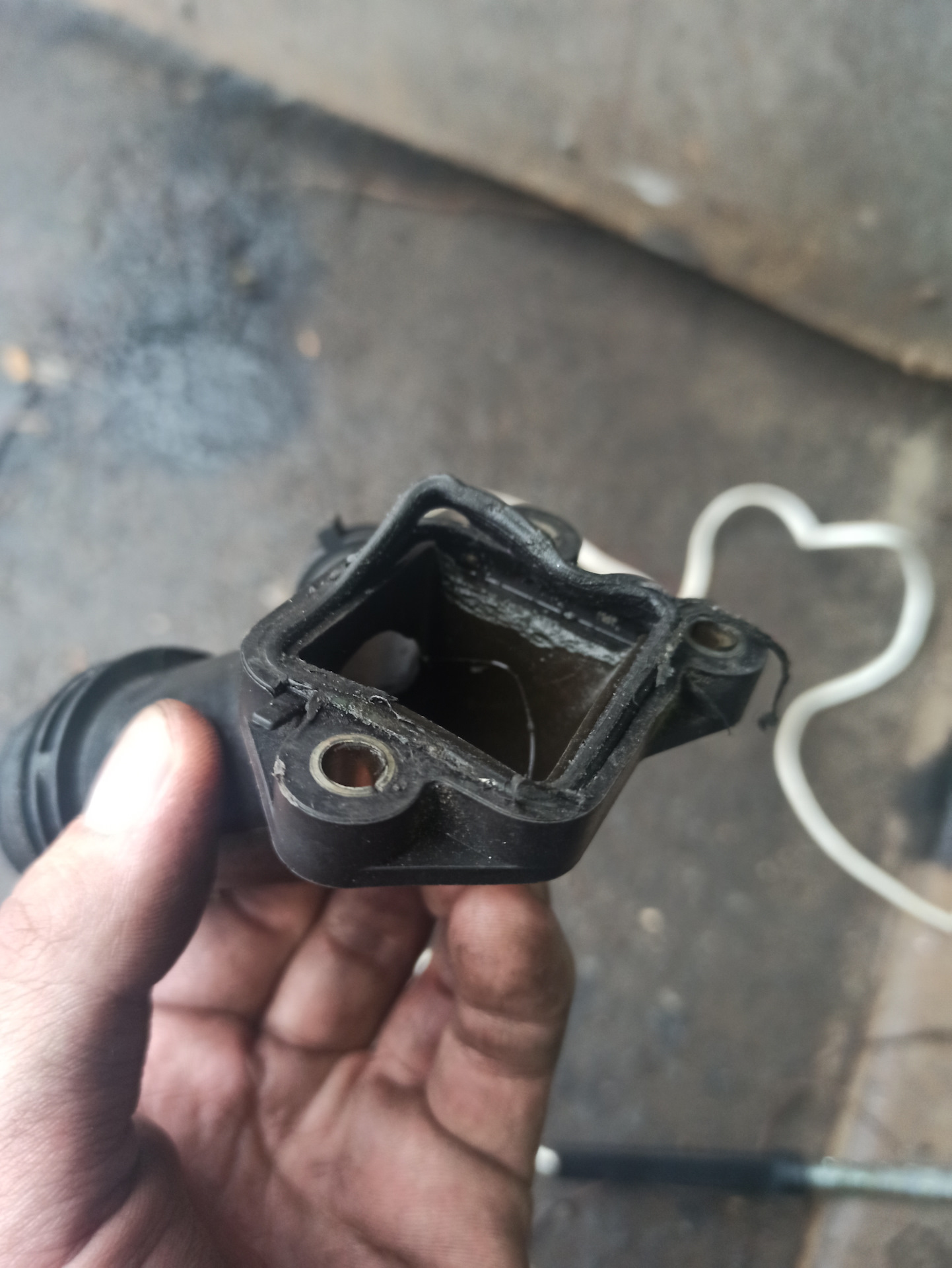 Замена прокладки масляного стакана и теплообменника m47n — BMW 3 series ...