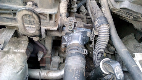 565453722 Патрубок охлаждения, GM | Запчасти на DRIVE2