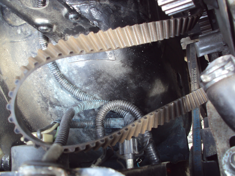 Состояния ремня ГРМ на пробеге 20т.км — Lada Ока 11113, 0,7 л, 2001 ...