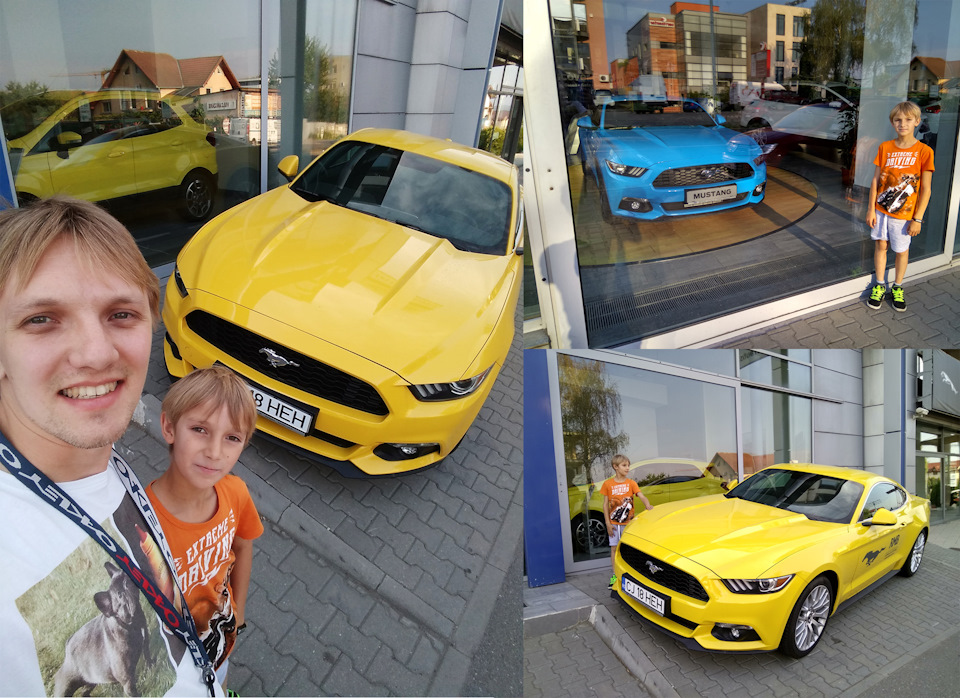 Покупка. Часть 1. Идея покупки. Выбор. — Ford Mustang (6G), 2,3 л, 2014 ...