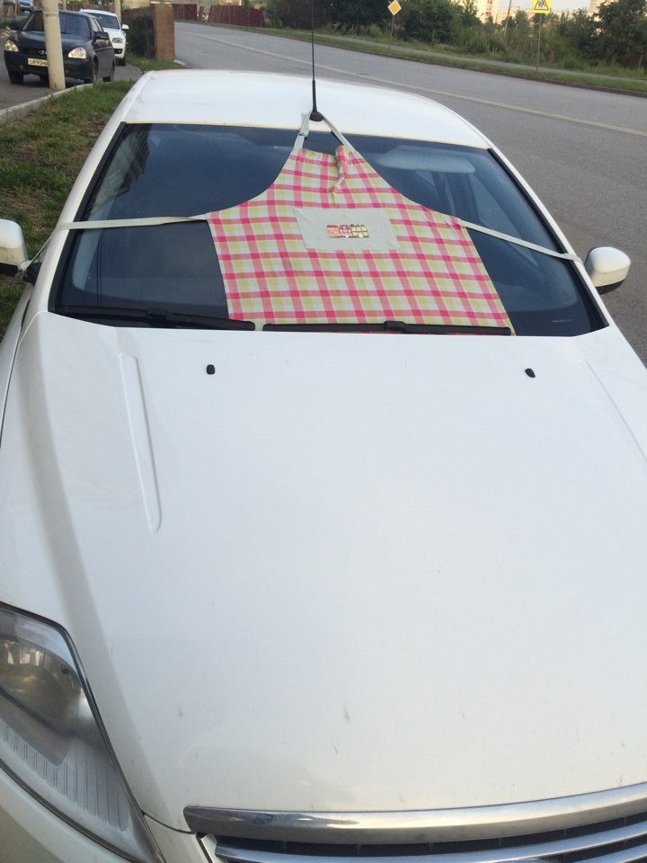 Реальная защита от солнца. — Mitsubishi Lancer X, 2 л, 2008 года ...