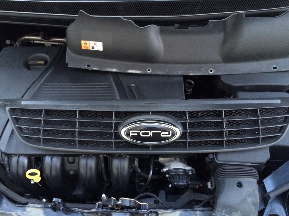Сетка — защита радиатора — Ford Focus Hatchback II, 2 л, 2011 года ...