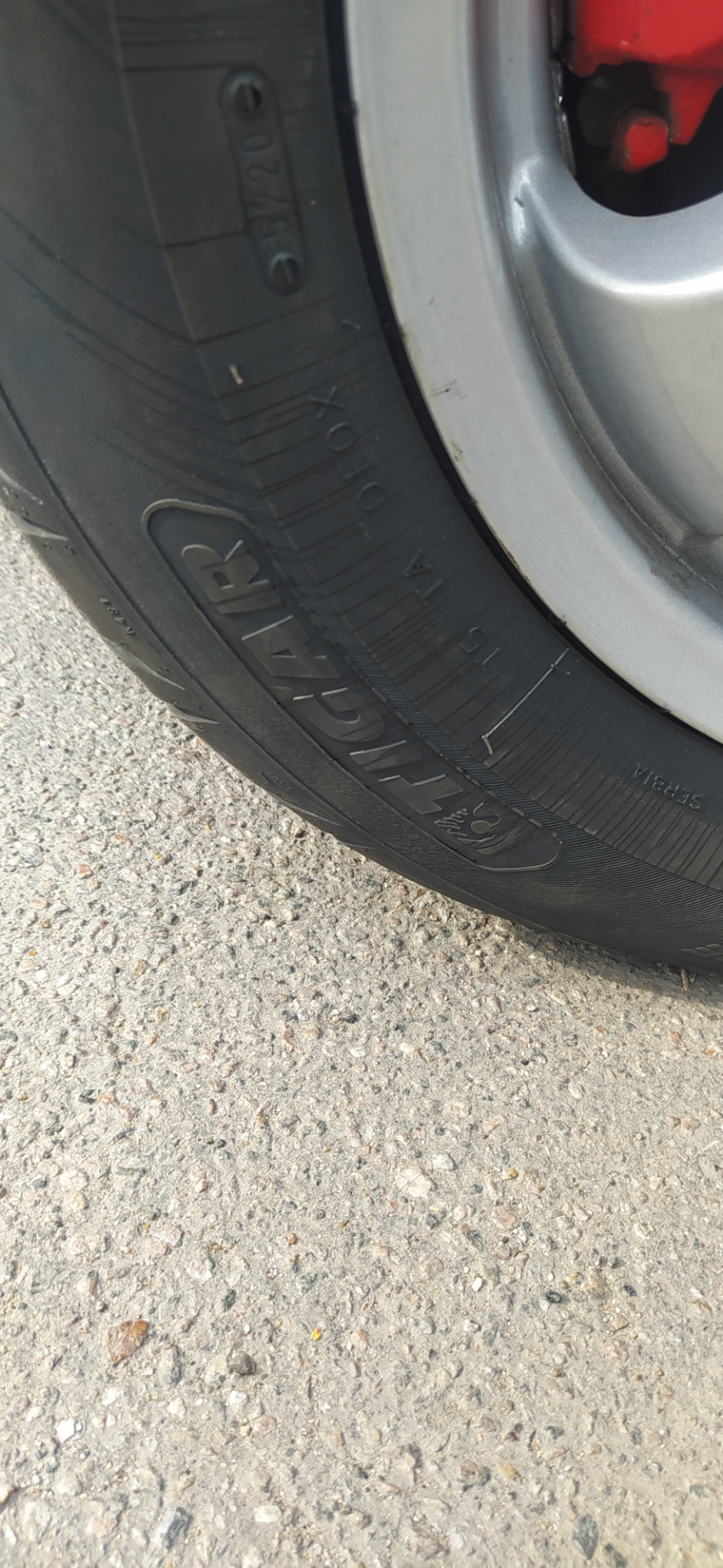 ШИНА 195/65 R15 TIGAR HIGH PERFORMANCE 95H XL ЛЕТО — Skoda Octavia ...
