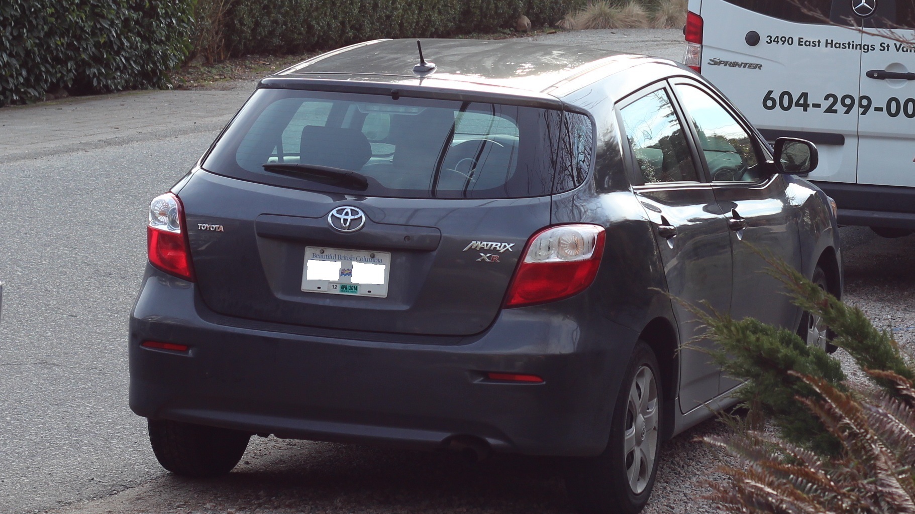 Toyota Matrix (2G) 2.4 бензиновый 2009 | Rx@2AZ-FE на DRIVE2