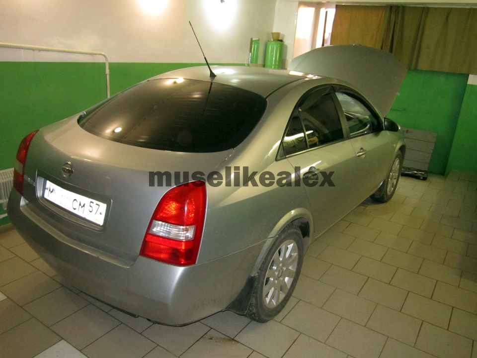 Первая запись — Nissan Primera (P12), 2 л, 2003 года | своими руками ...