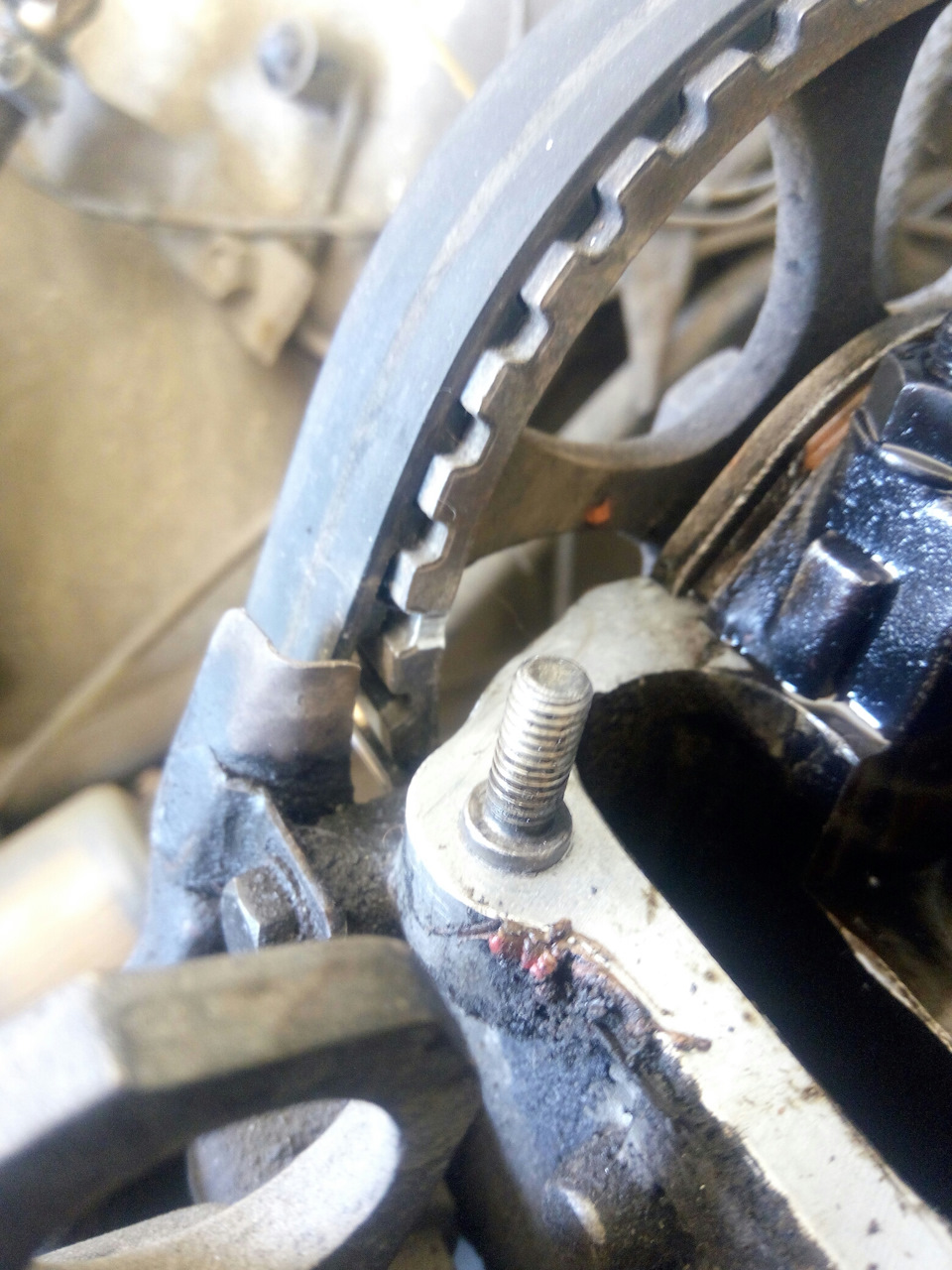 55564101 Прокладка КПП крышки OPEL: ASTRA G, ZAFIRA A, ASTR GM ...