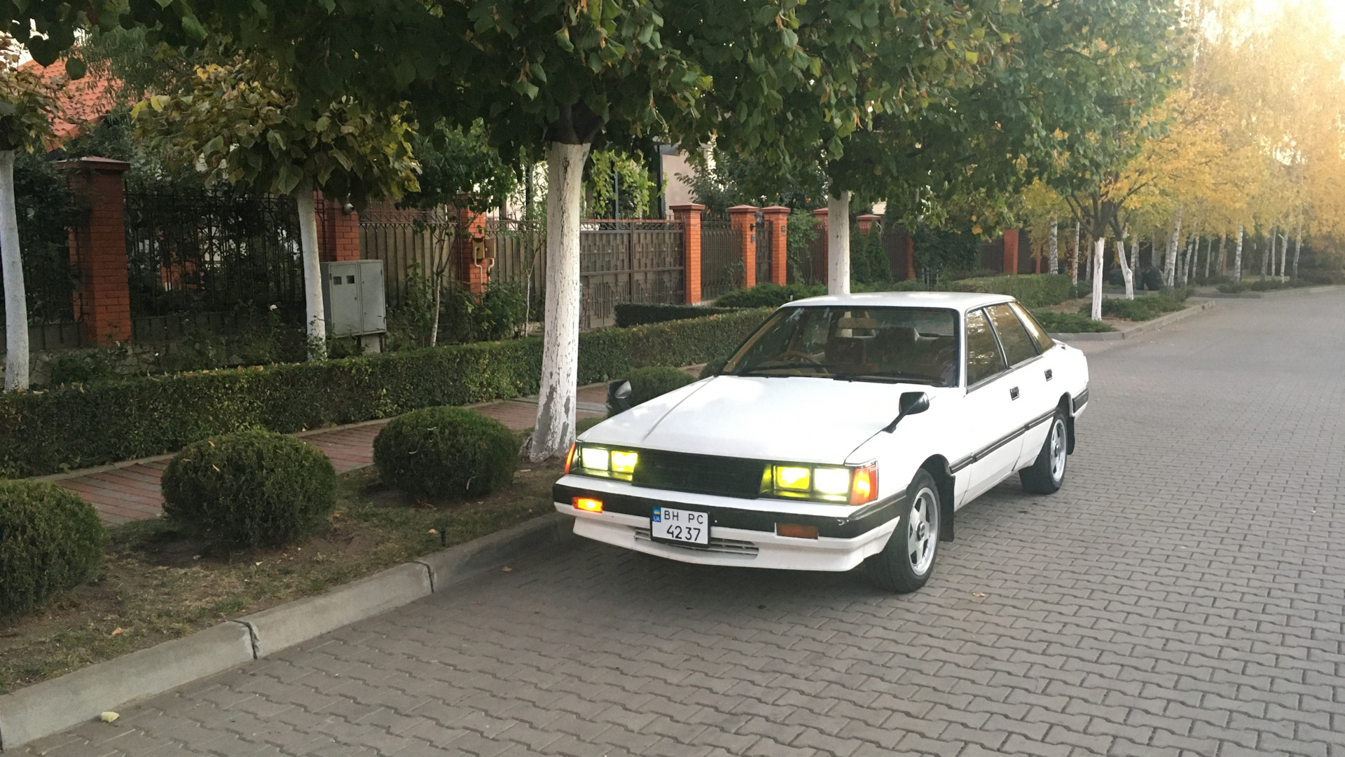 Nissan Leopard (F30) 1.8 бензиновый 1981 | TR-X на DRIVE2