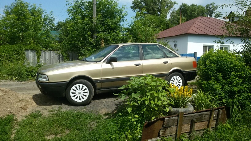 Audi 80 (B3) бензиновый 1987 | на DRIVE2