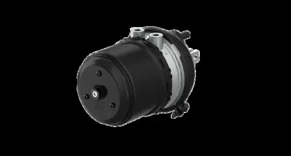 9254920010 Энергоаккумулятор TYPE30/24 (KAMAZ-6520, 5297,6460, 6522 ...