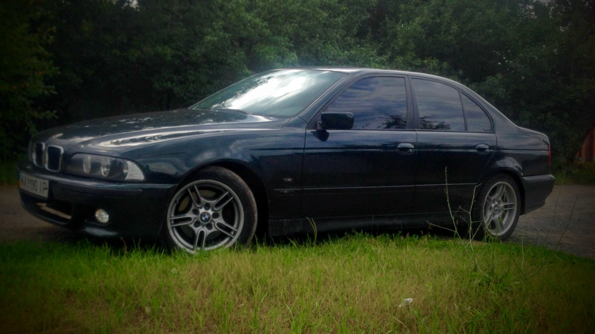 BMW 5 series (E39) 4.4 бензиновый 1996 | Идеальная машина на DRIVE2