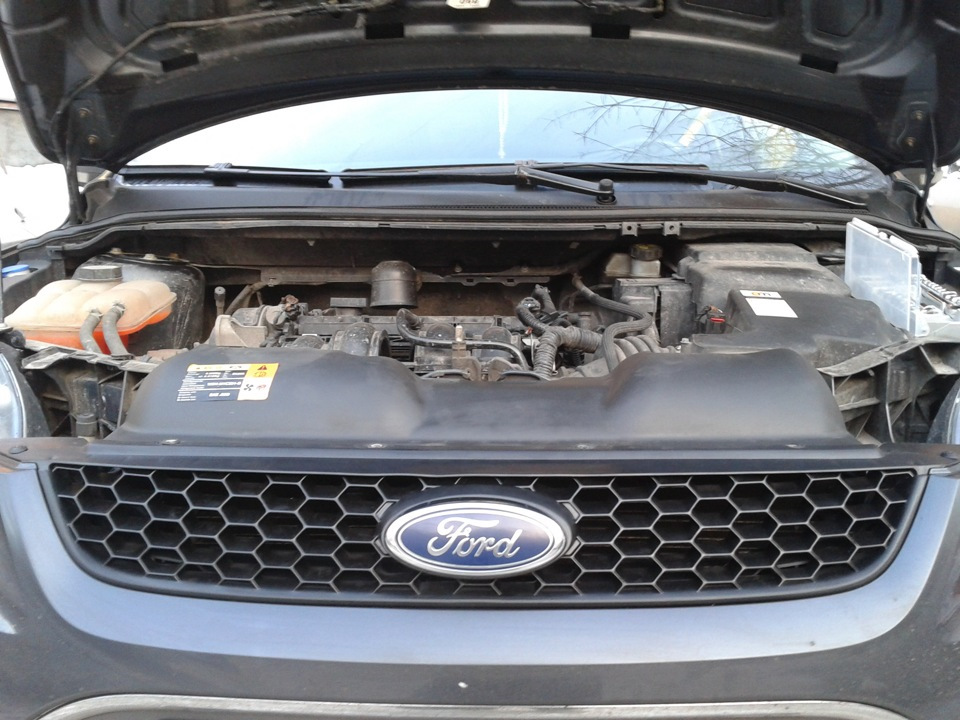 заказал решетку ST и заглушку в фару — Ford Focus Hatchback II, 2 л ...