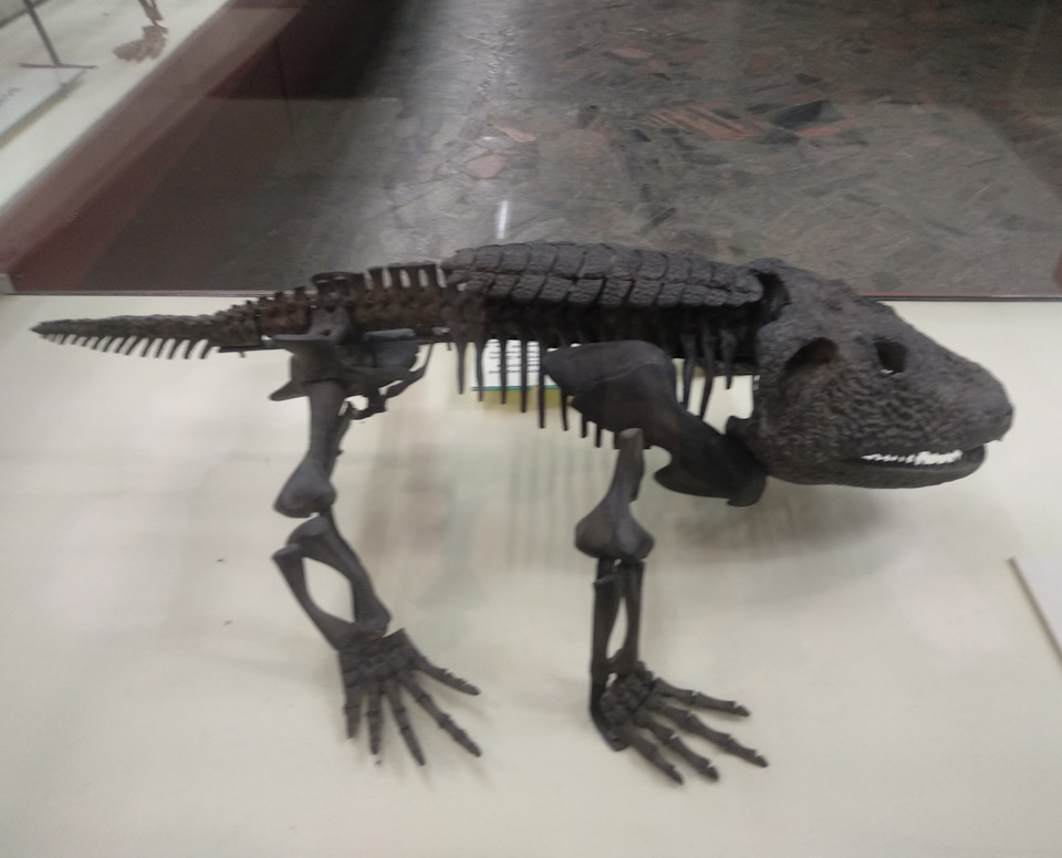 22 или 24 ? — Lada 4x4 3D, 1,7 л, 2018 года | тюнинг | DRIVE2