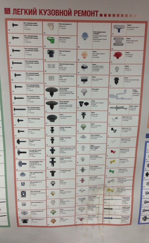 7703017119 Винт самонарезающий 5х15[lrg r RENAULT | Запчасти на DRIVE2