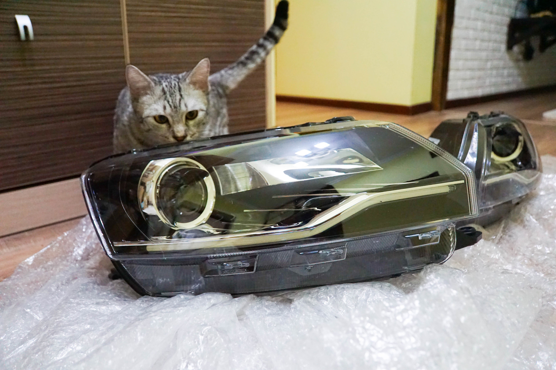 Биксеноновые фары… а еще капот, крыло и бампер — Skoda Rapid (1G), 1,4 ...