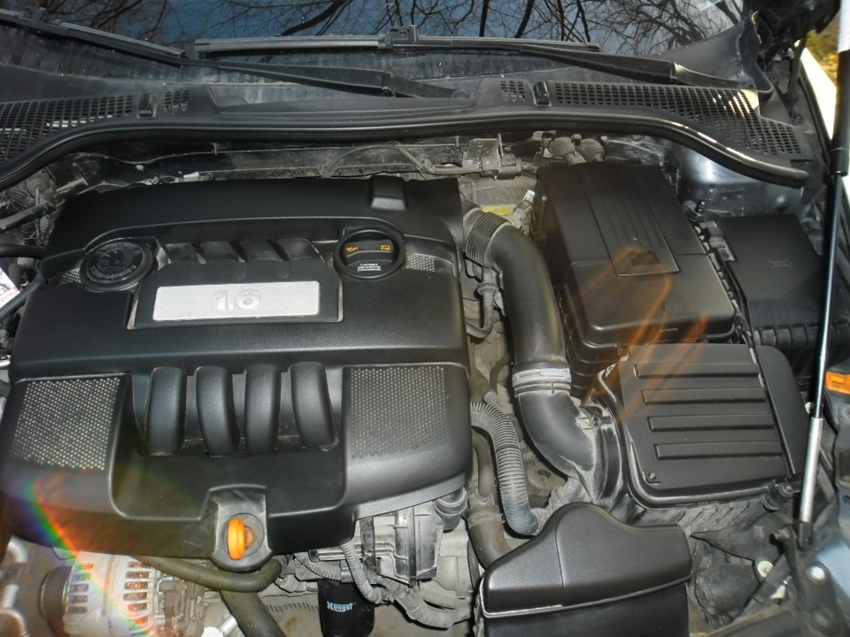 Под капот — Skoda Octavia A5 Mk2, 1,6 л, 2011 года | аксессуары | DRIVE2