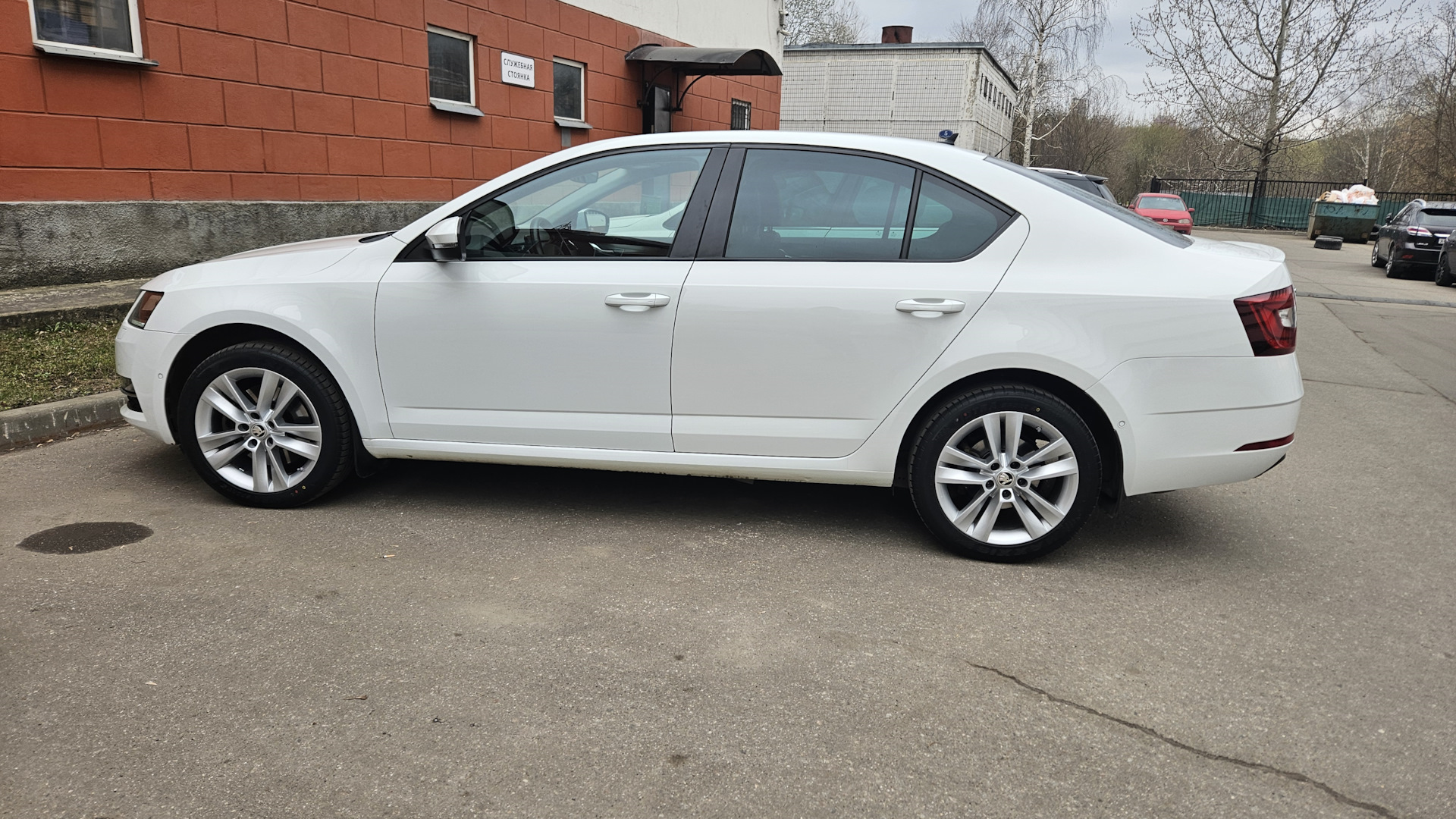 Skoda Octavia A7 Mk3 1.8 бензиновый 2018 | the "White Rabbit" на DRIVE2