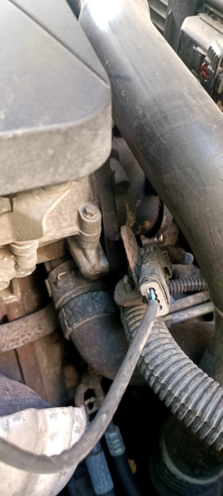 Запотевание вакумного насоса и новые свечи. — Opel Insignia (1G), 1,6 л ...