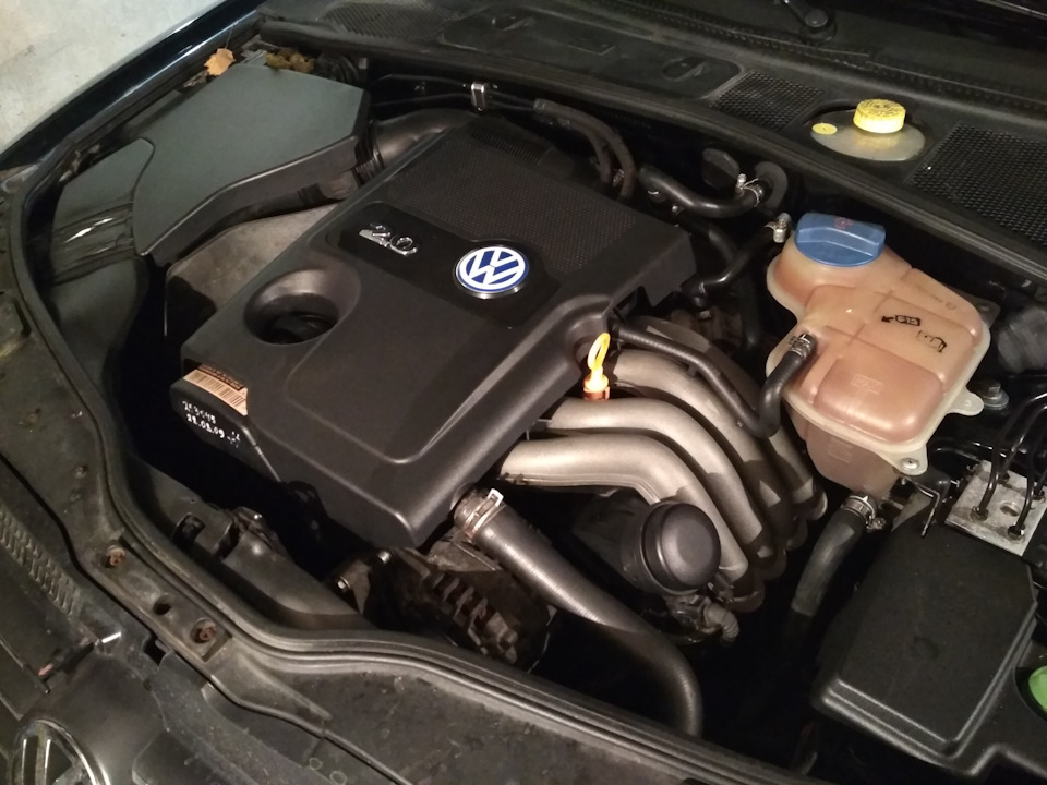 80. Маслоизмерительный щуп. Лампа ближнего света — Volkswagen Passat B5 ...